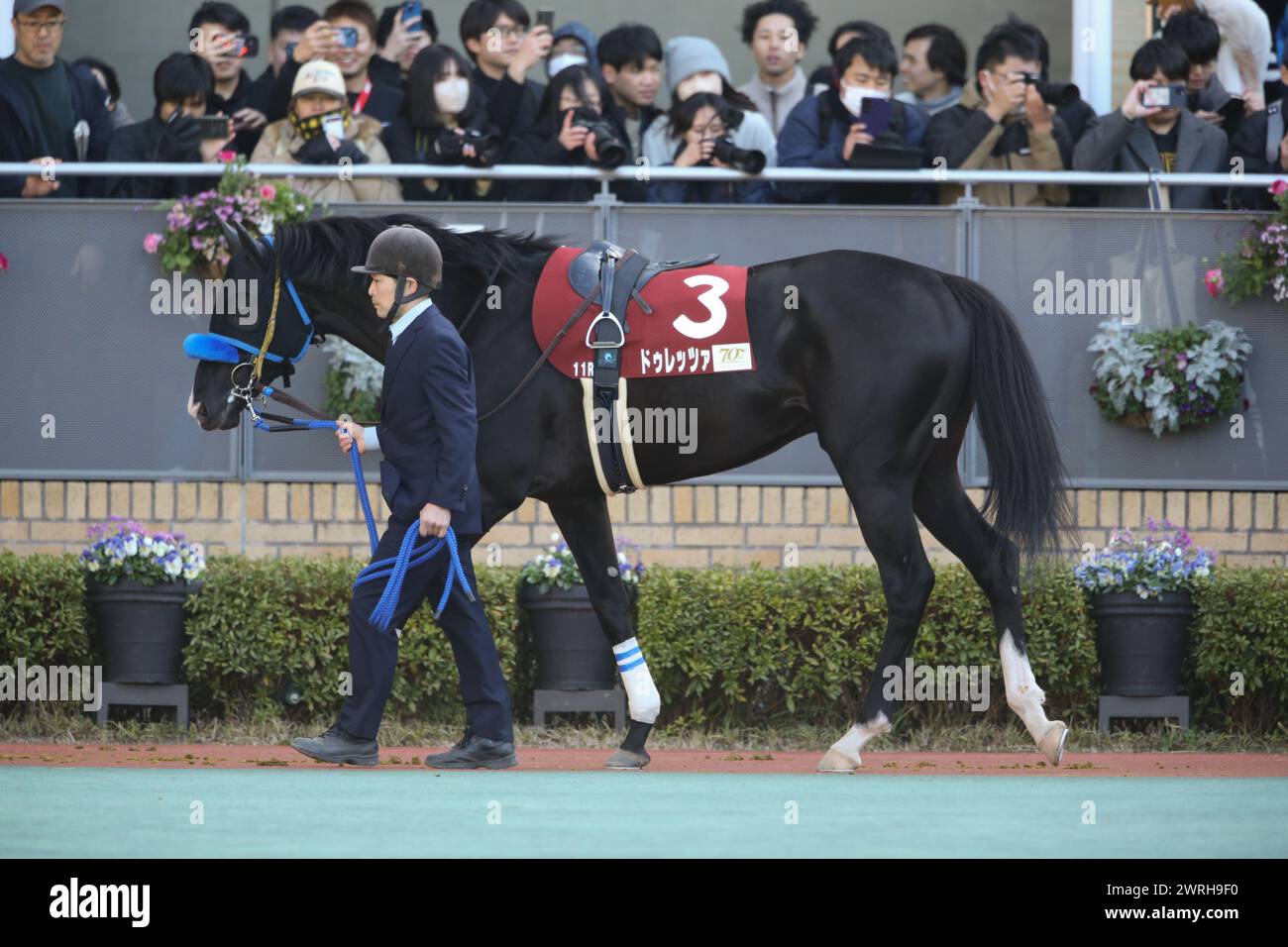 2024/03/10 CHUKYO 11R THE KINKO SHO Durezza at Chukyo Racecourse in ...