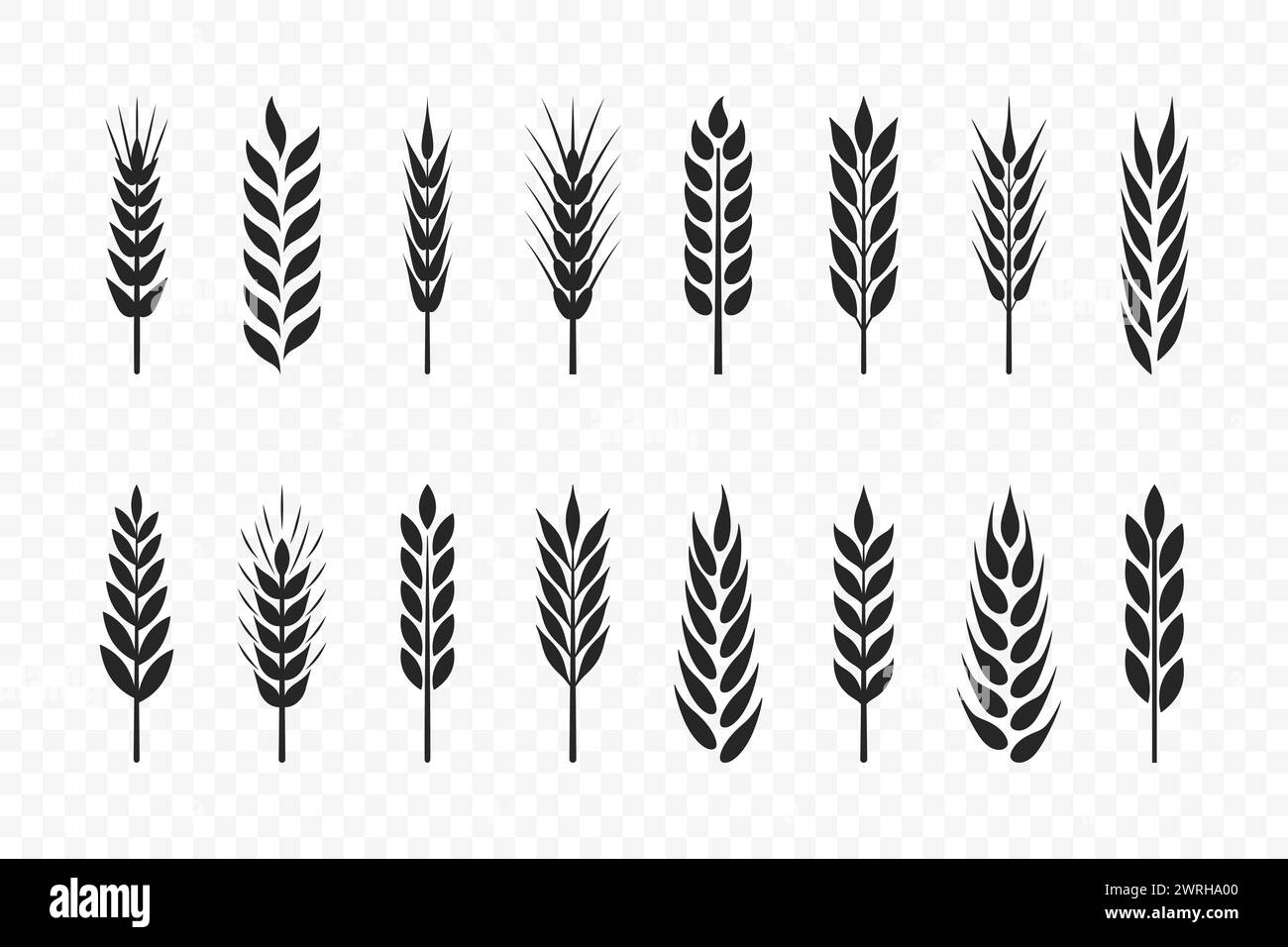 Flat Vector Agriculture Wheat, Cereal Ear Icon Set Isolated. Organic ...
