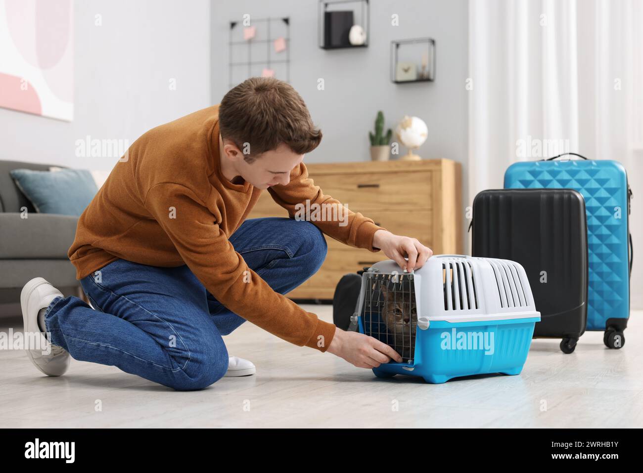 Travel with pet. Man closing carrier with cat at home Stock Photo - Alamy