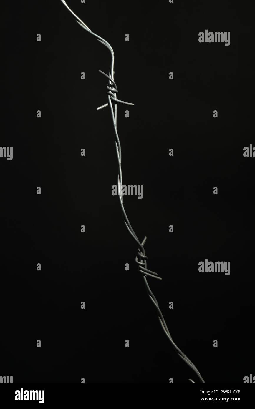 Shiny metal barbed wire on black background Stock Photo - Alamy