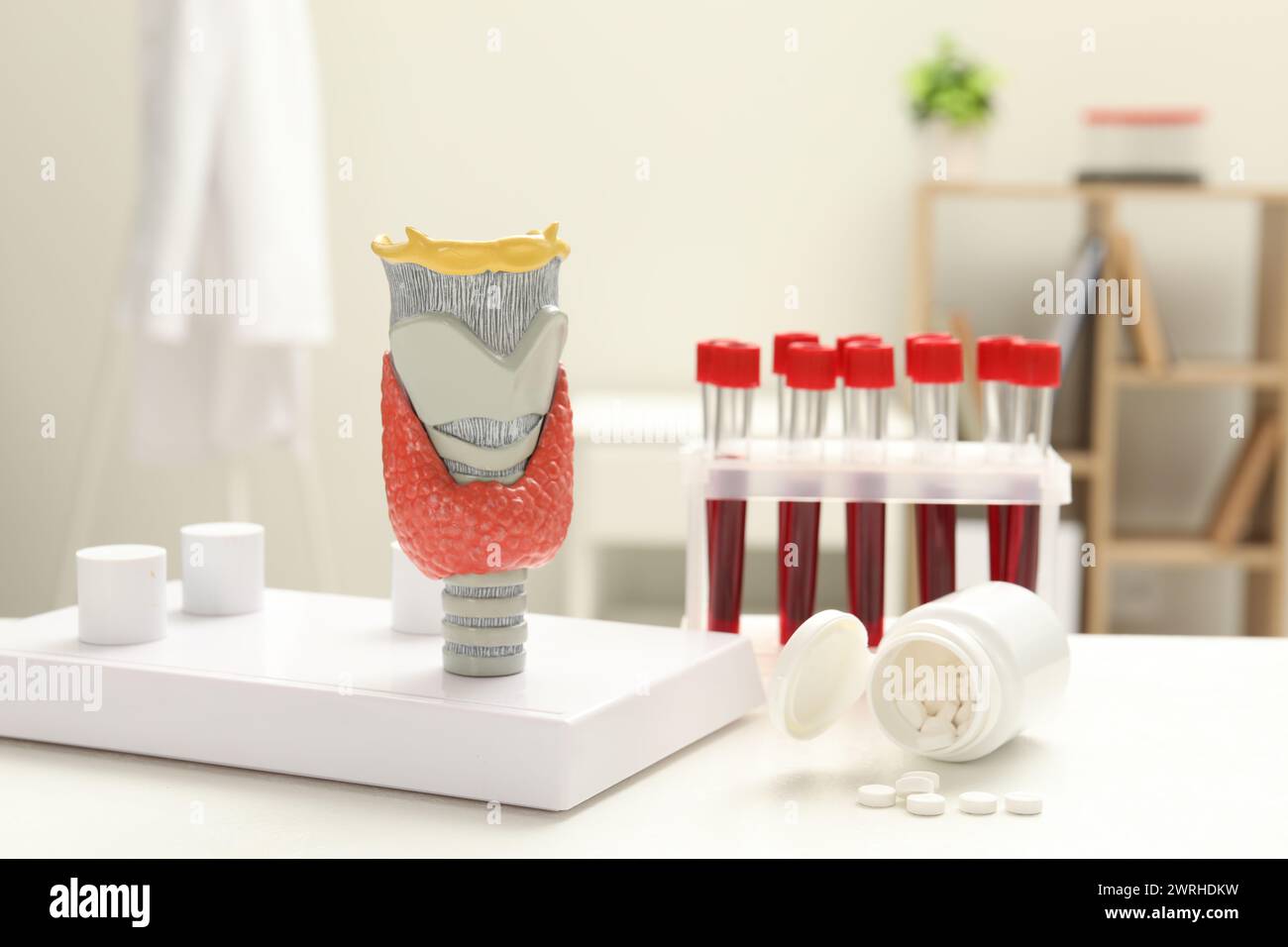 Endocrinology. Model of thyroid gland, bottle with pills and samples of ...