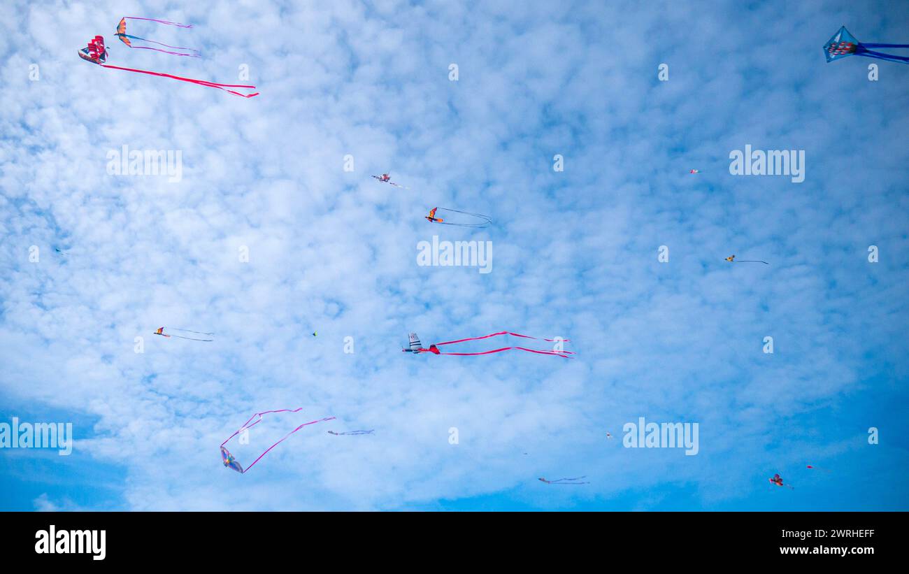 Kites flying on a windy day with a blue sky in the background Stock ...