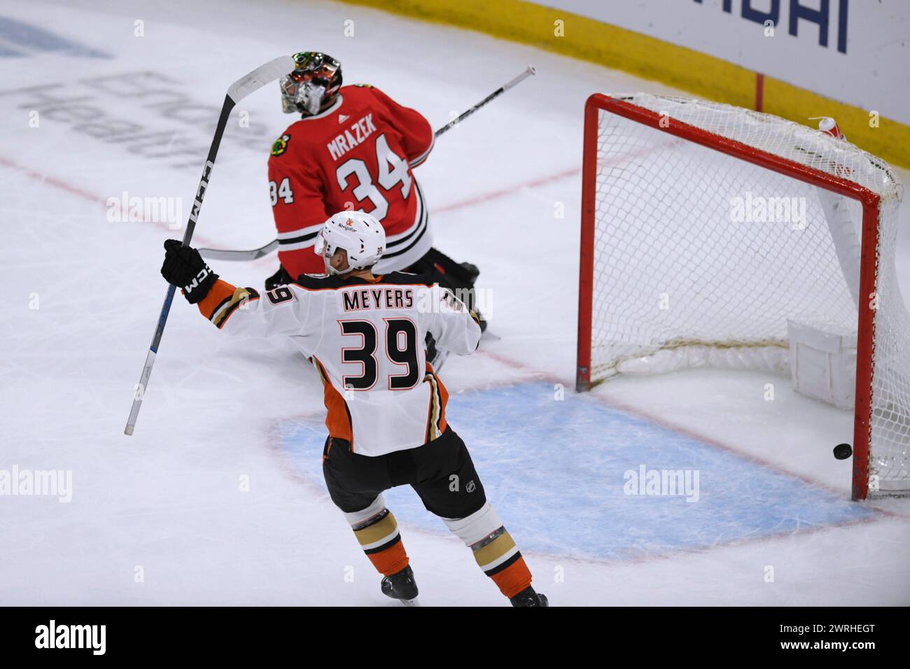 Anaheim Ducks' Ben Meyers (39) celebrates Brett Leason's goal on ...