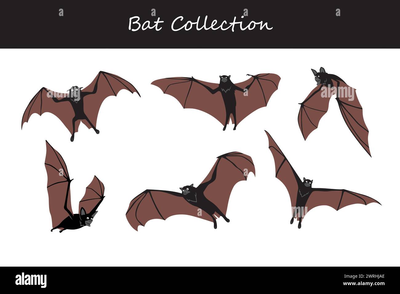bat vector illustration set. Cute bat isolated on white background ...