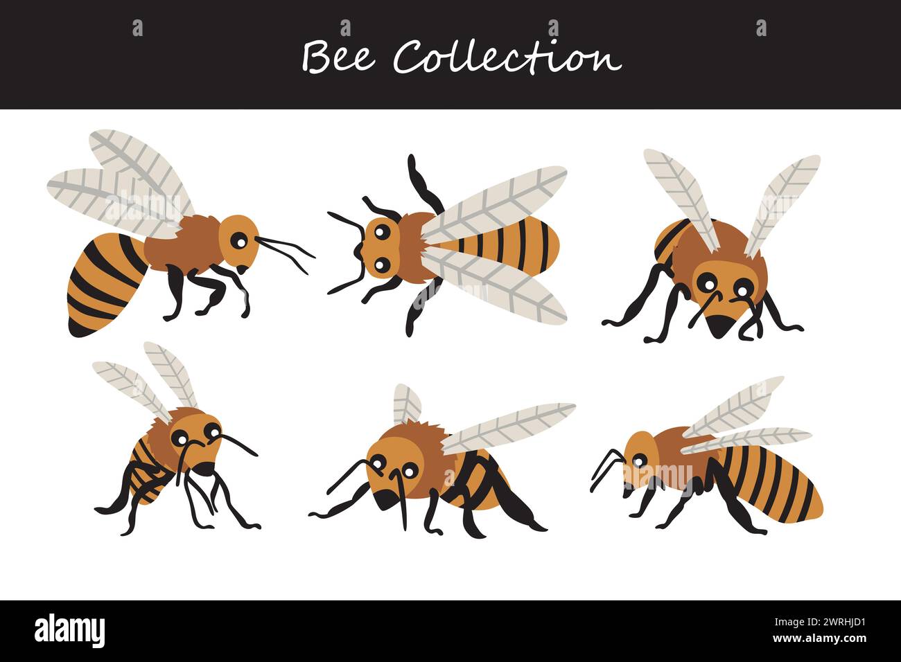 bee vector illustration set. Cute bee isolated on white background ...