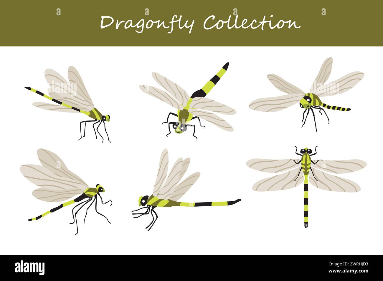 Single ant Stock Vector Images - Alamy