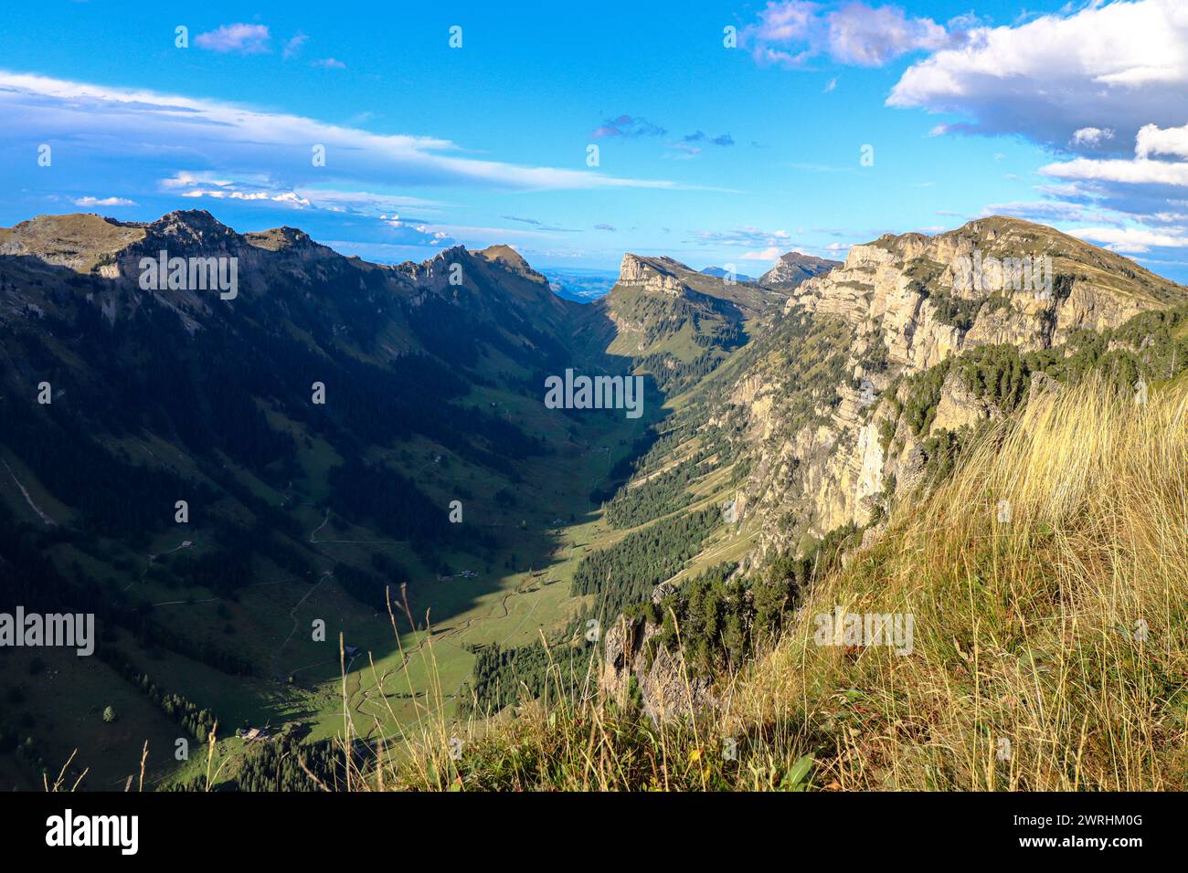 Mountain view, Niederhorn, Beatenberg, Interlaken-Oberhasli, Bernese ...