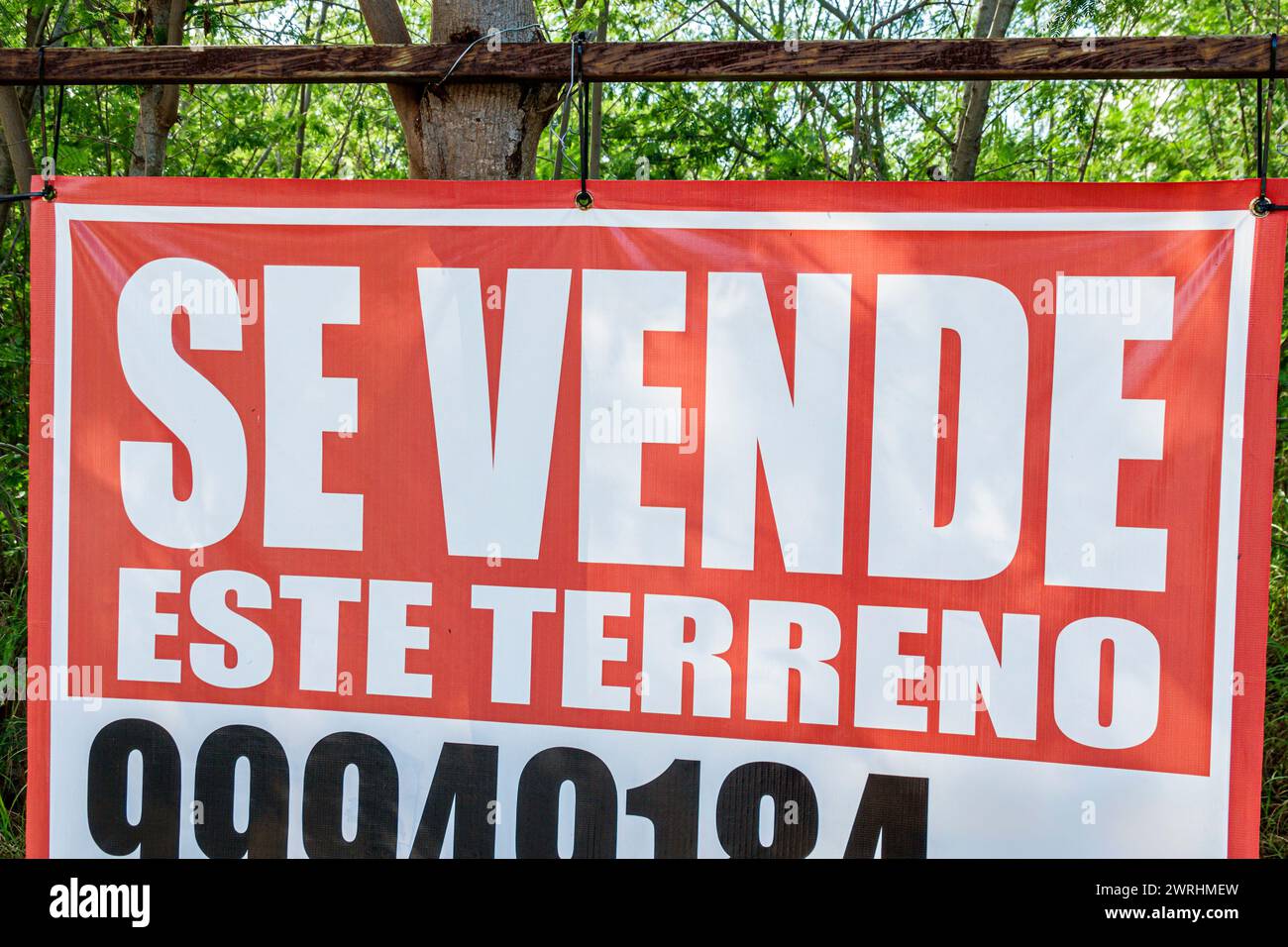 Merida Mexico,Xcumpich Calle 20A,real estate,sign signs information ...