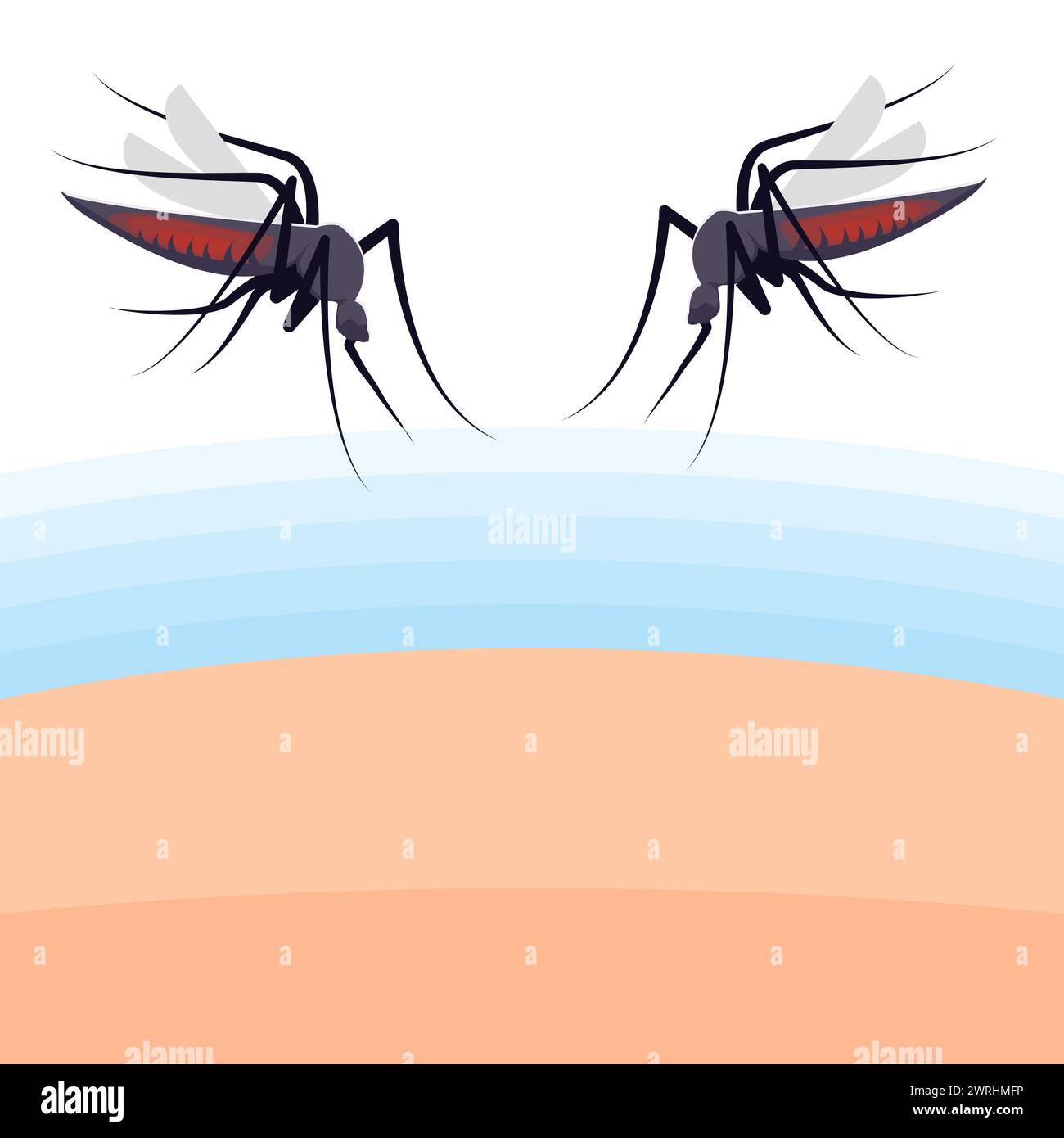 Mosquito cartoon clipart hi-res stock photography and images - Alamy