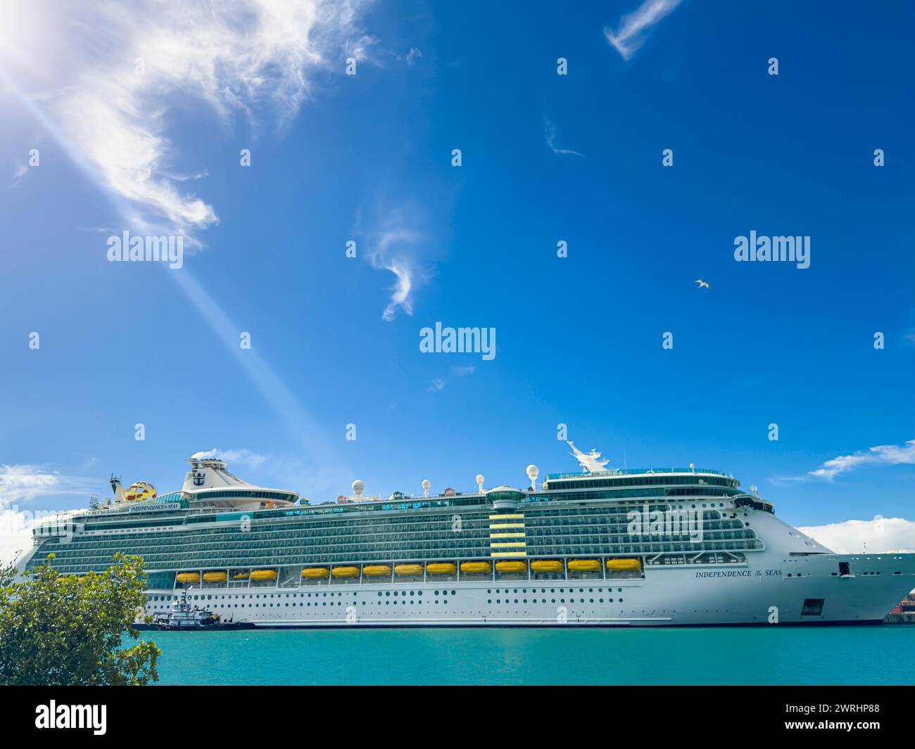 The Independence of the Seas Freedom class cruise ship owned by the ...