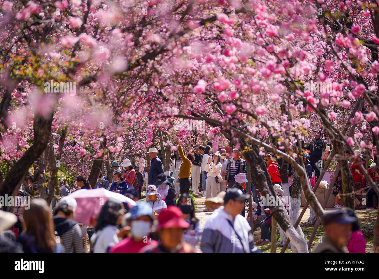 **CHINESE MAINLAND, HONG KONG, MACAU AND TAIWAN OUT** Tourists admire ...