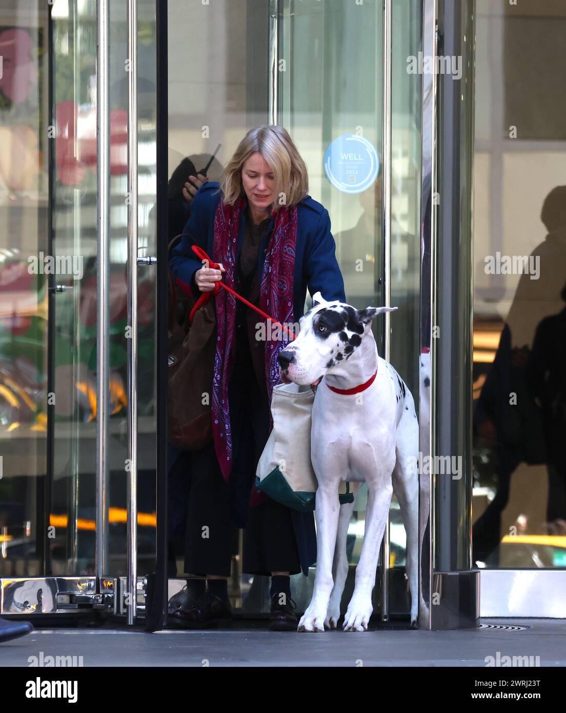 New York, USA. 12th Mar, 2024. Actress Naomi Watts films on her new ...
