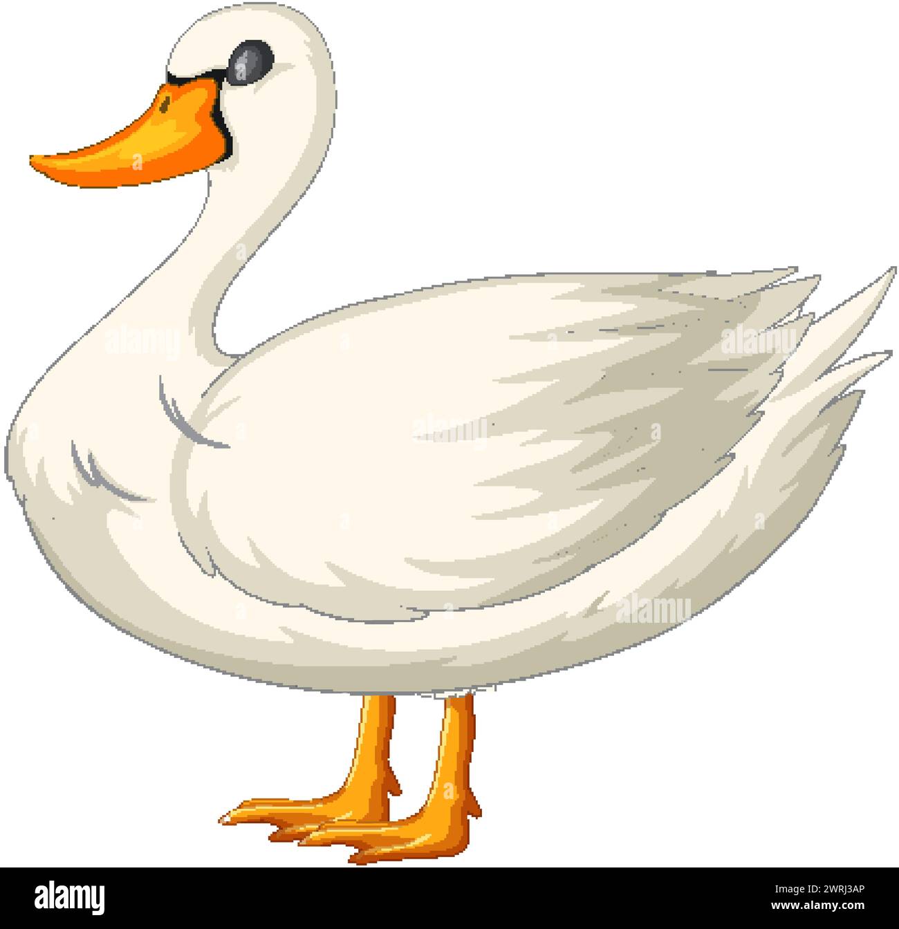 Cartoon vector of a cute, white, standing duck Stock Vector Image & Art ...