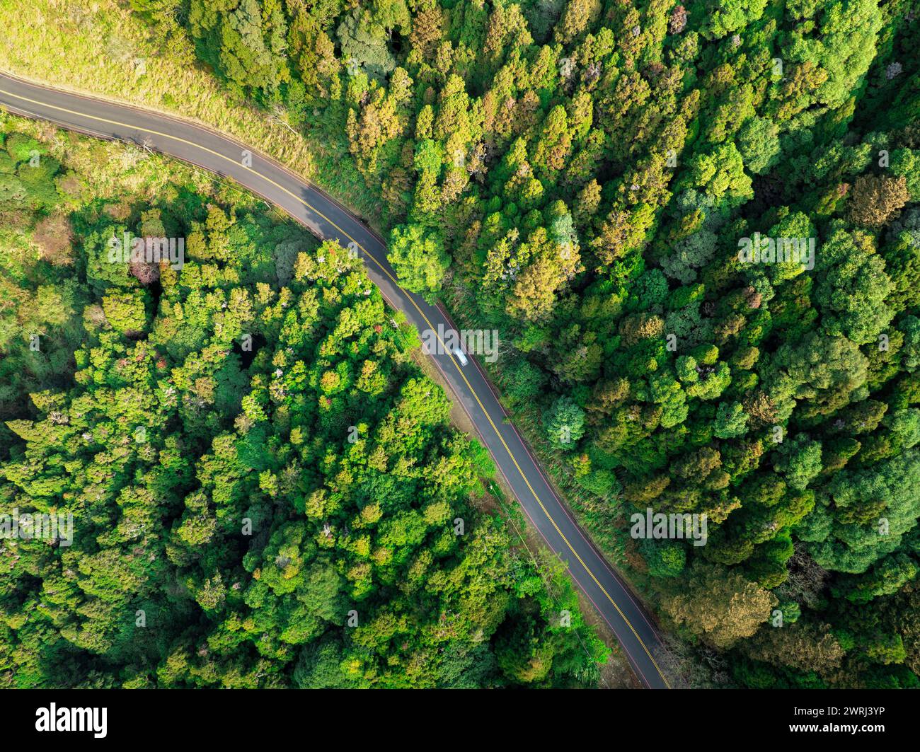 Aerial view asphalt road and green forest Stock Photo - Alamy