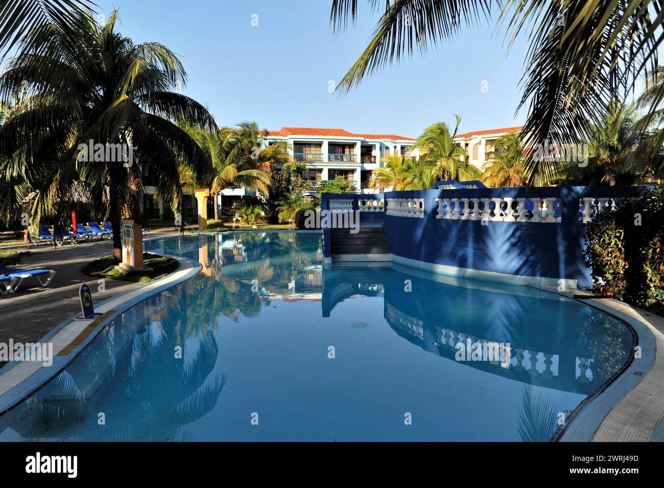 Inviting hotel pool surrounded by palm trees reflects clear, calm ...