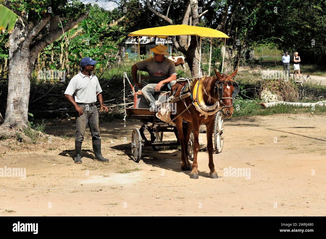 Horse-drawn carriage with passengers on a rural road, traditional means ...