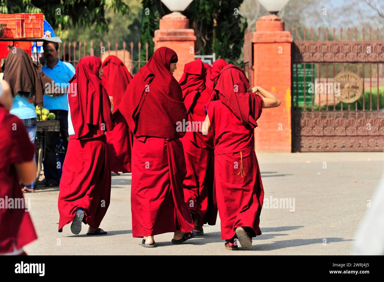 Group of people in red robes from behind on a path, Sarnath, Uttar ...