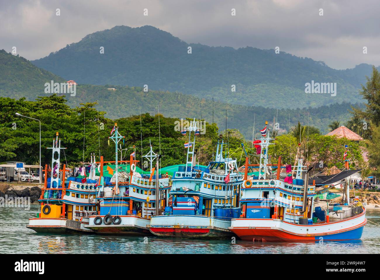Colourful tourist boats for excursions, boat, ship, tourist boat ...