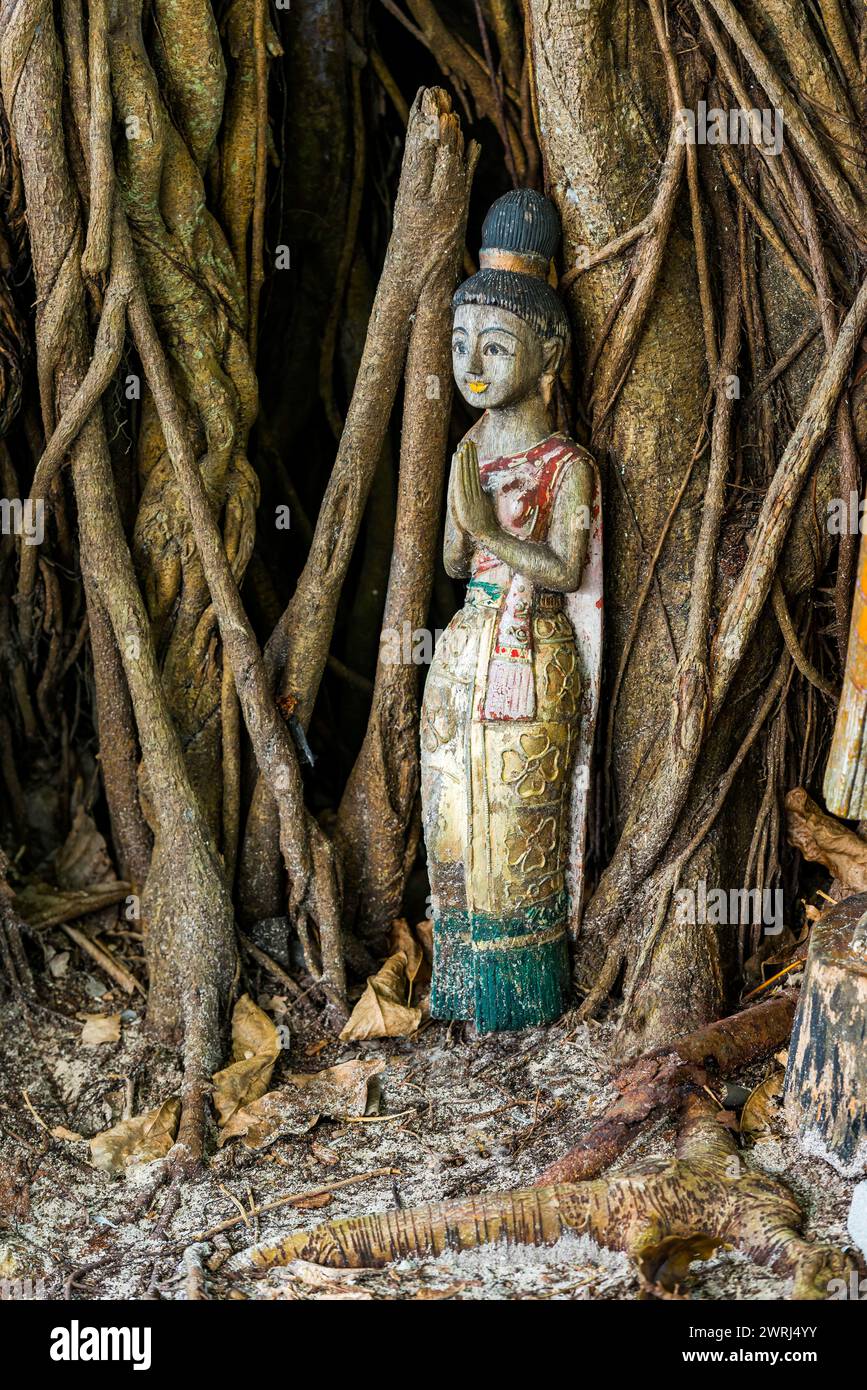 Buddhist figure in front of a tree on Phi Phi Island, wood, carving ...