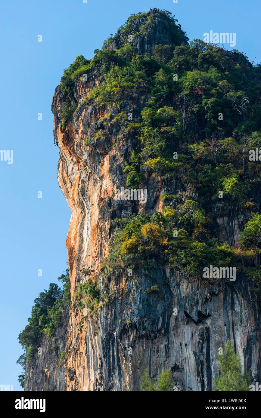Exotic coastal beauty hi-res stock photography and images - Alamy