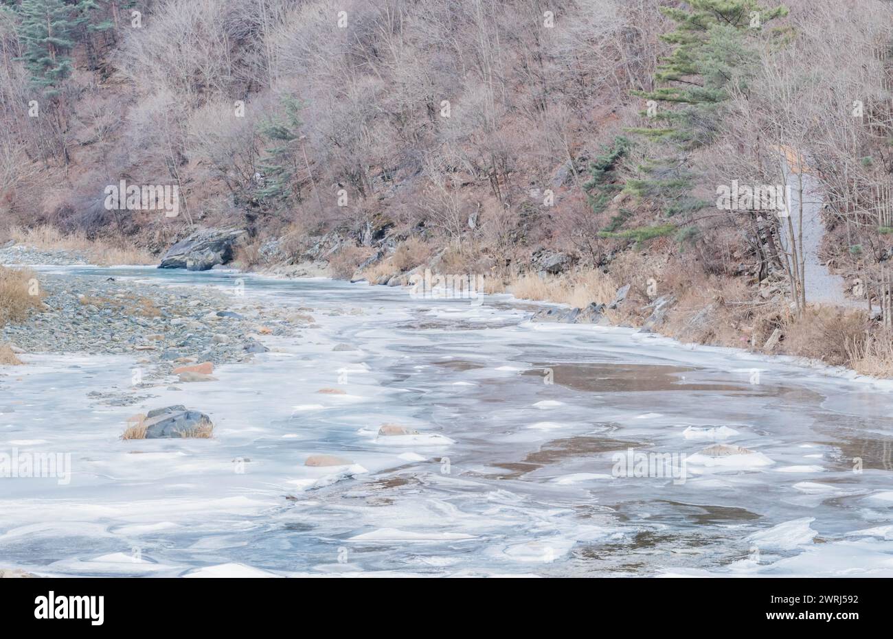 Deciduous and evergreen trees hi-res stock photography and images - Alamy