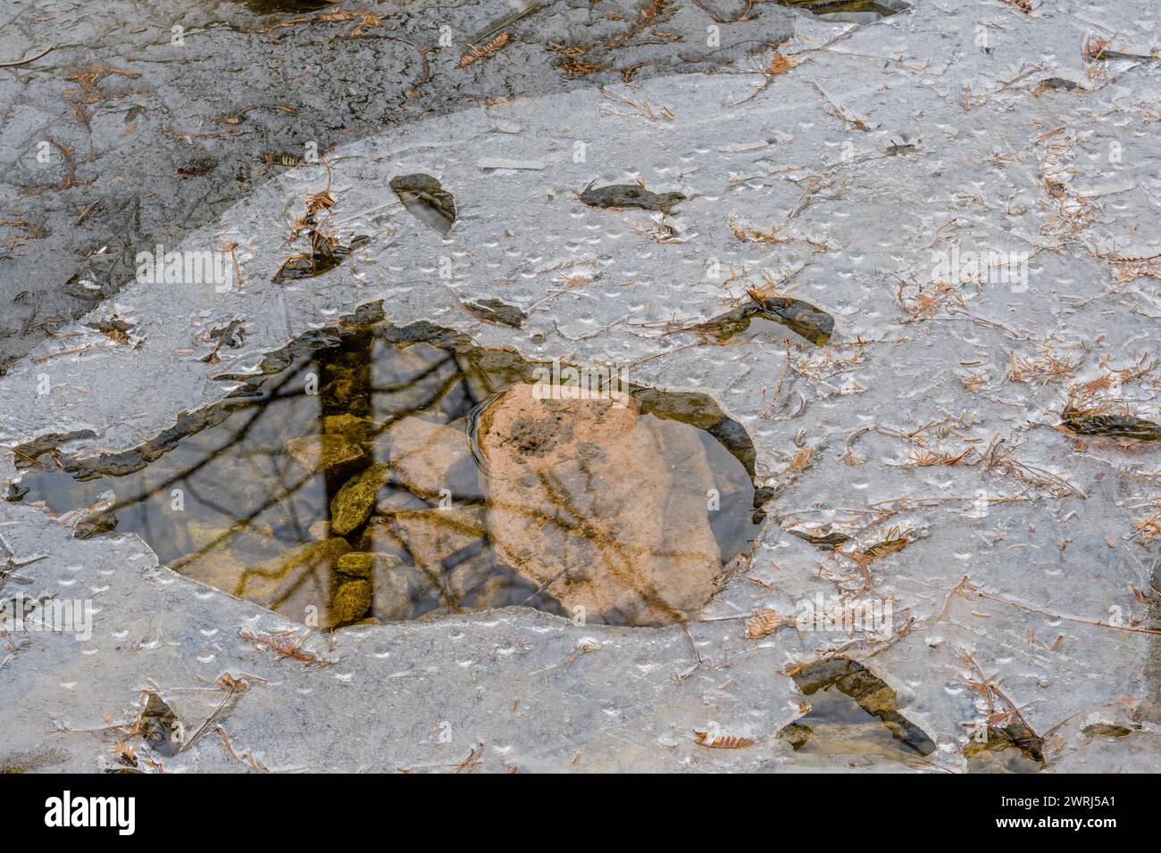 Breaking through surface hi-res stock photography and images - Alamy