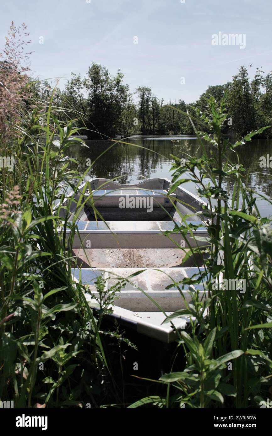 Lone rowing boat on a forest lake, North Rhine-Westphalia, Germany ...
