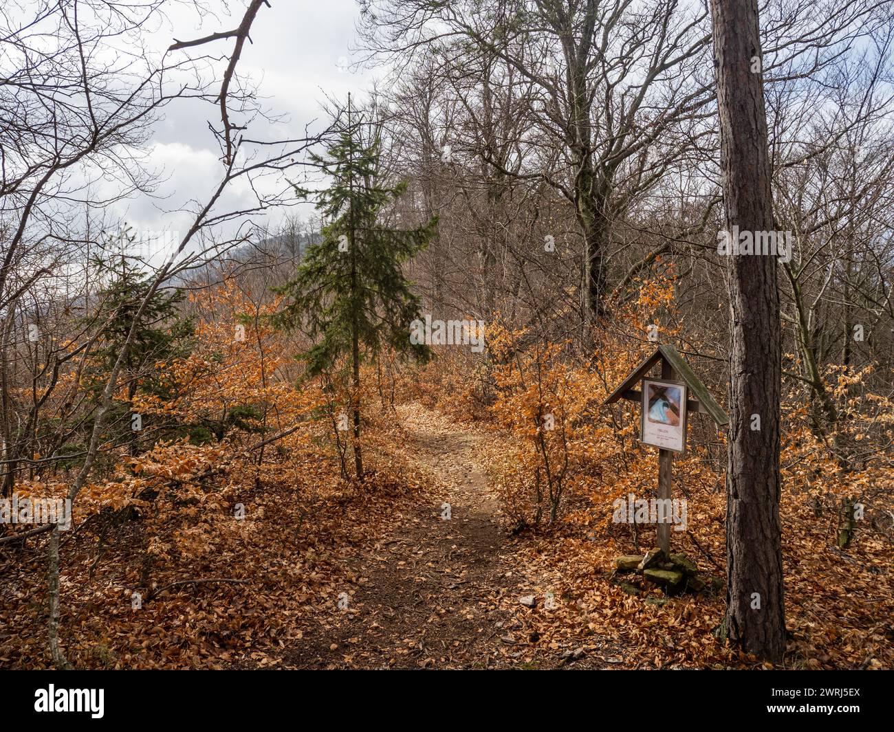 Station of the Passion of Christ, Way of the Cross on the Kulm, Eastern ...