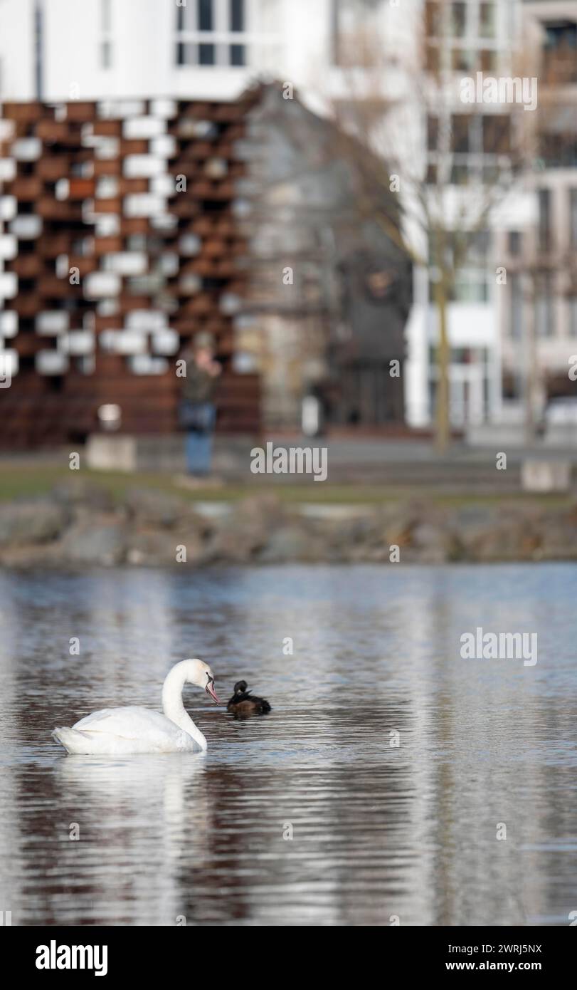Industrial swan hi-res stock photography and images - Alamy