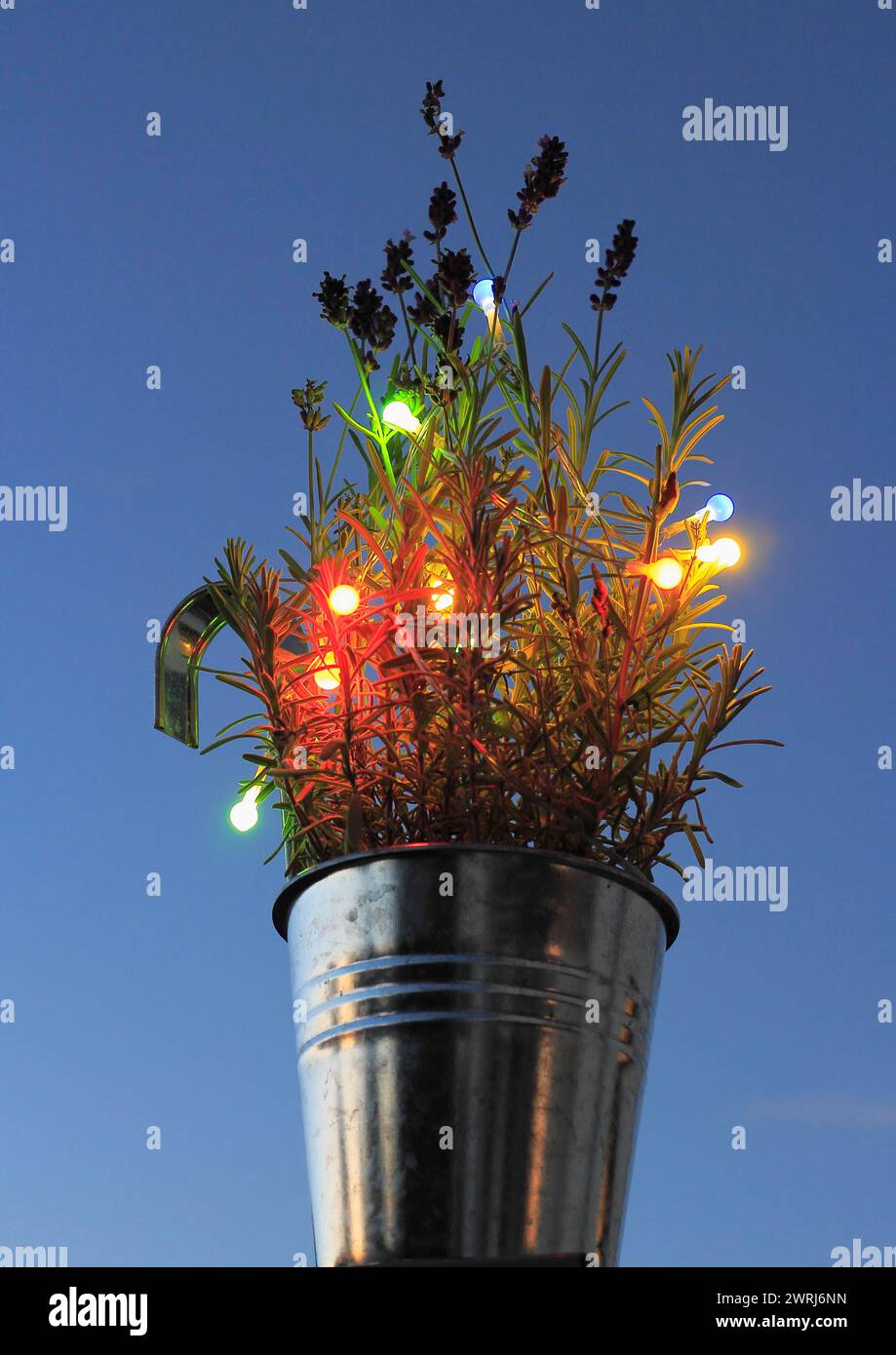 Lavender light sky blue hi-res stock photography and images - Alamy