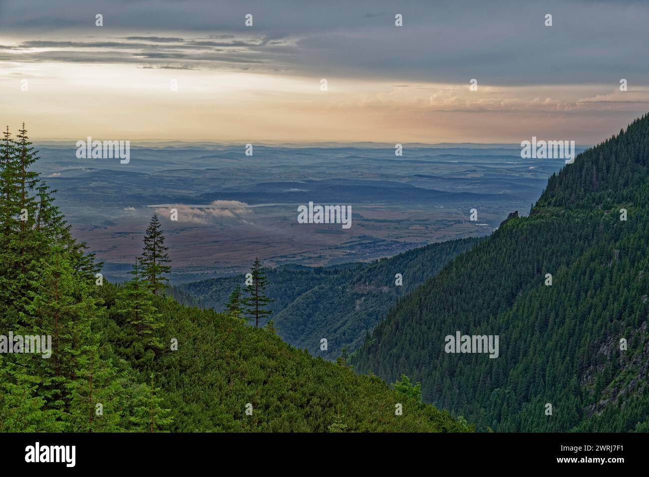 Olt transylvania hi-res stock photography and images - Alamy