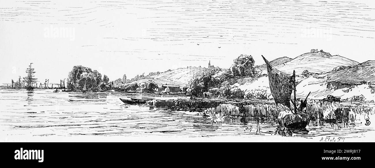 The Oder with Stettin or Szczecin, on the horizon, Poland, river, reed ...