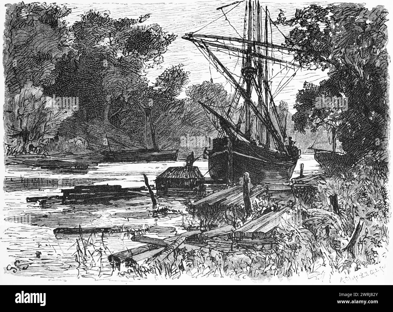 Wooden harbour in Lübeck, Trave, raft, raftsman, wooded bank, tree ...