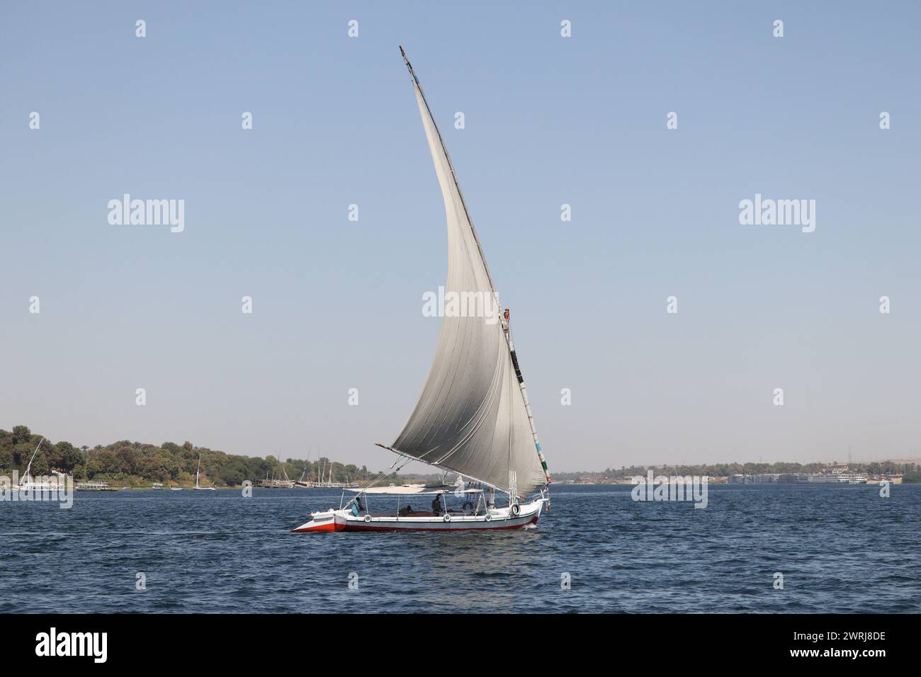 traditional felucca boat sailing on the river nile Stock Photo - Alamy