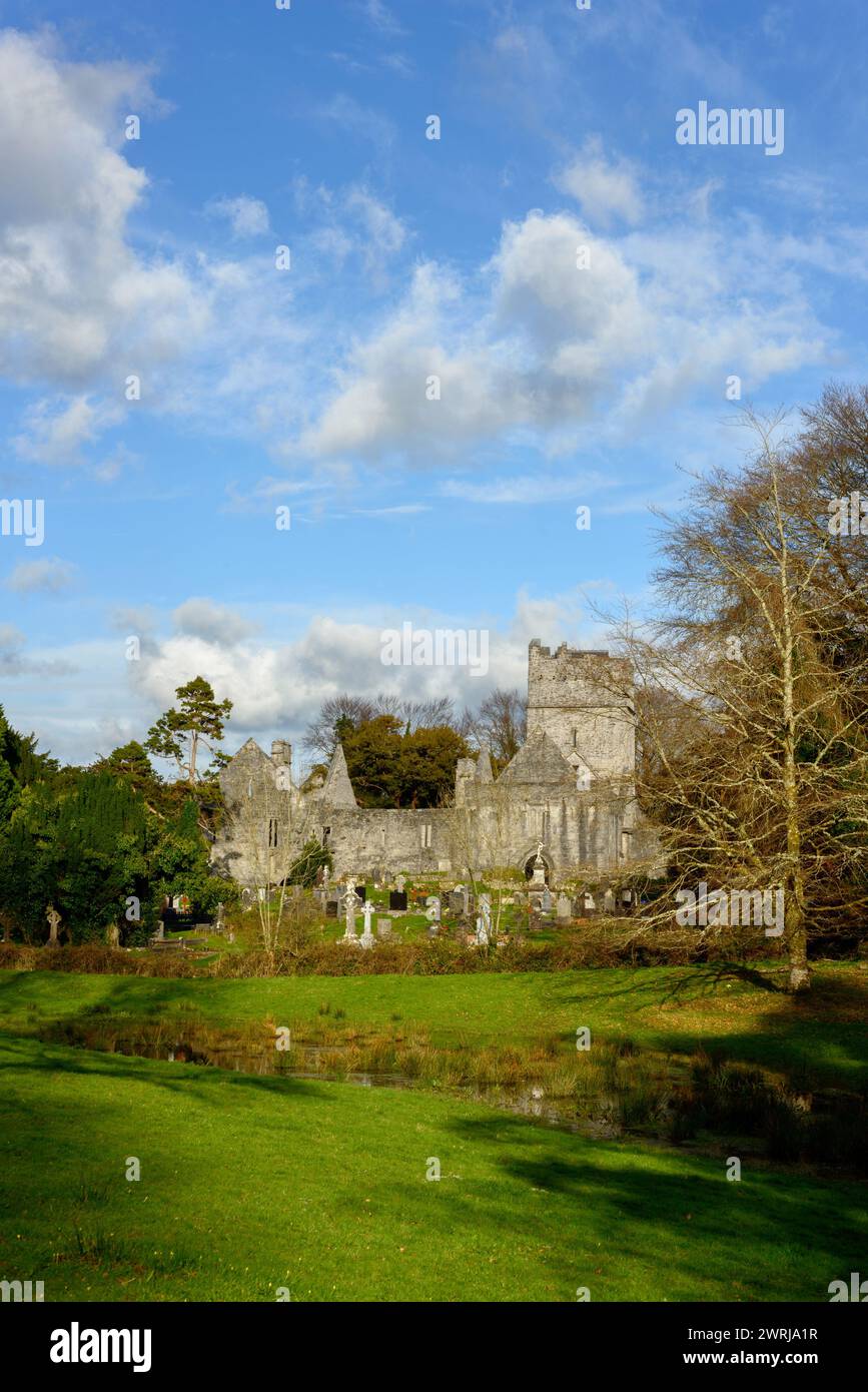 Muckross Abbeyruins touristic landmark in Killarney National Park ...