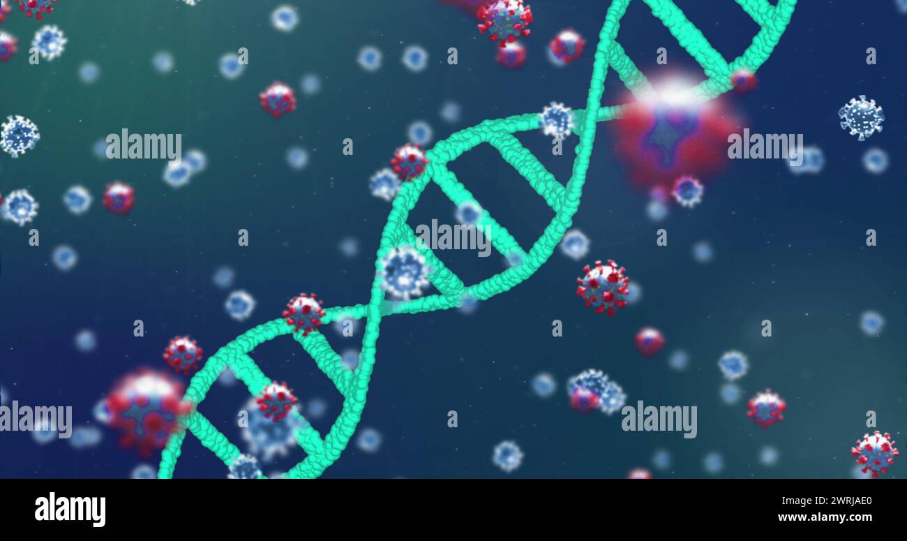 Image of 3D coronavirus Covid 19 cells spreading with rotating DNA ...