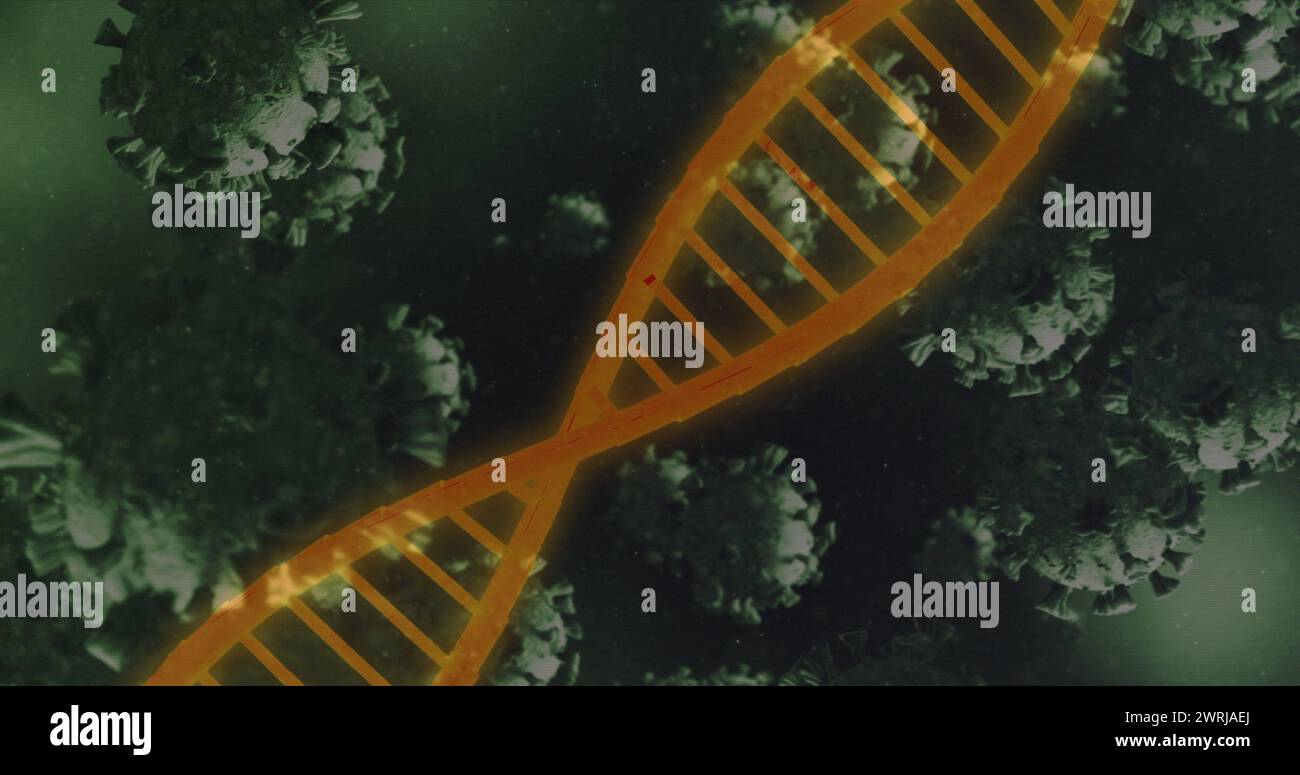 Image of 3D coronavirus Covid 19 cells spreading with rotating DNA ...