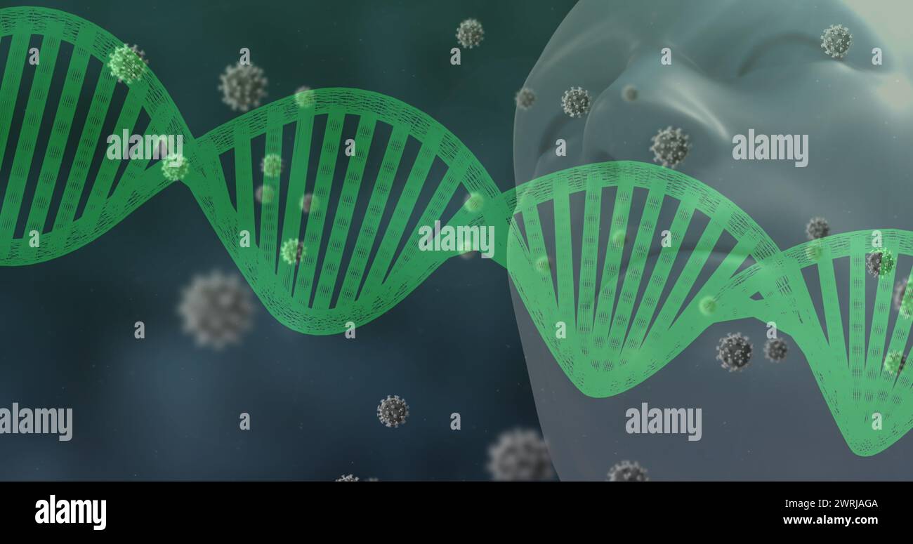 Image of rotating DNA strand and coronavirus Covid 19 cells spreading ...