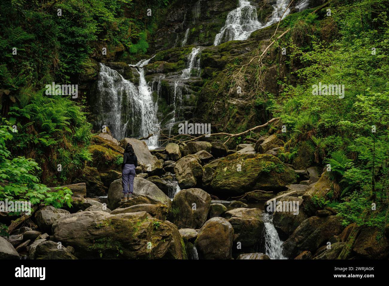 Rear view of female tourist hiker standing on boulders at Torc ...