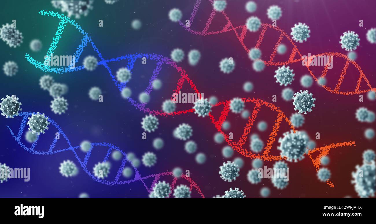 Image of 3D coronavirus Covid 19 cells spreading with rotating DNA ...