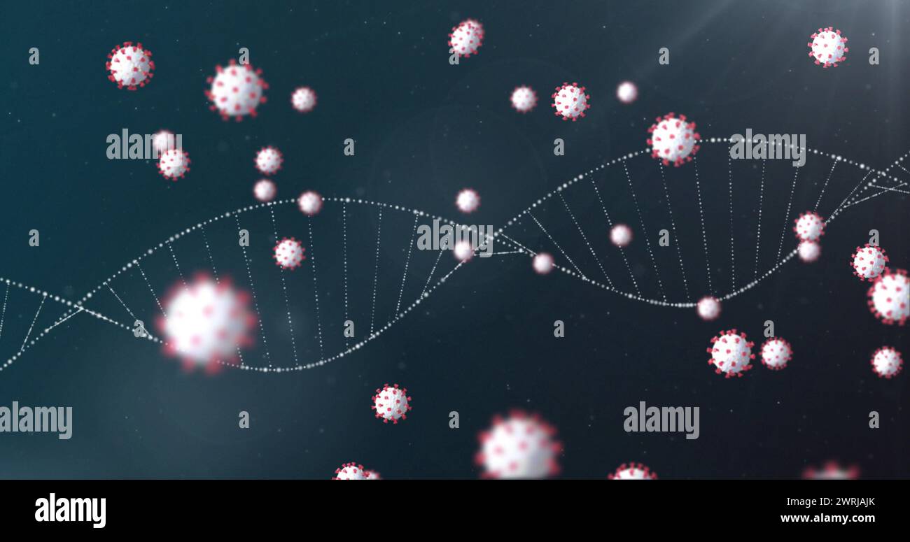 Image of 3D coronavirus Covid 19 cells spreading with rotating DNA ...