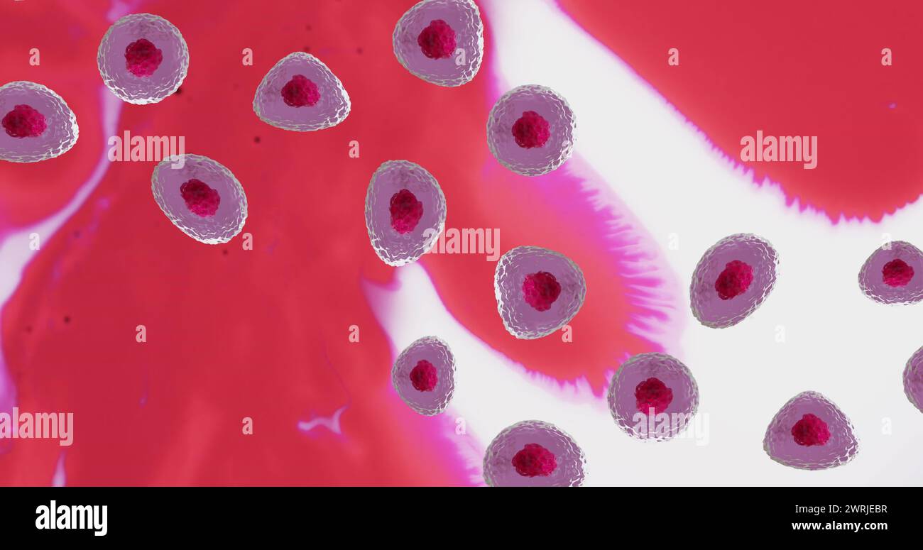 Image of micro of red and pink cells over red and white background ...