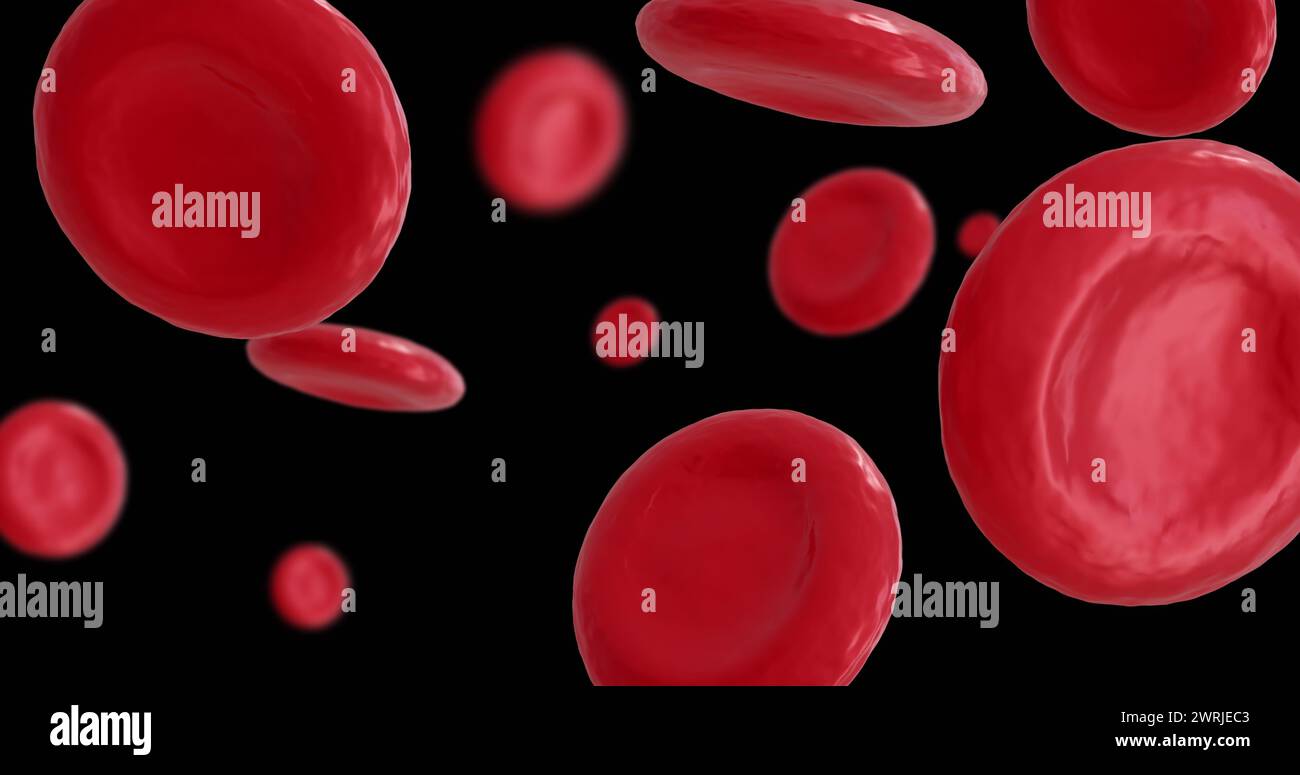 Scanning electron microscope image hi-res stock photography and images ...