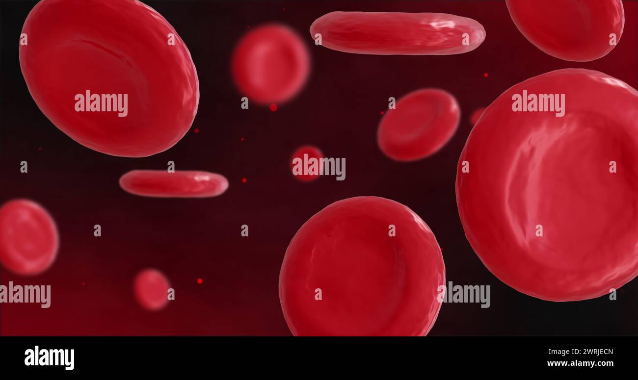 Image of micro of red blood cells on black background Stock Photo - Alamy