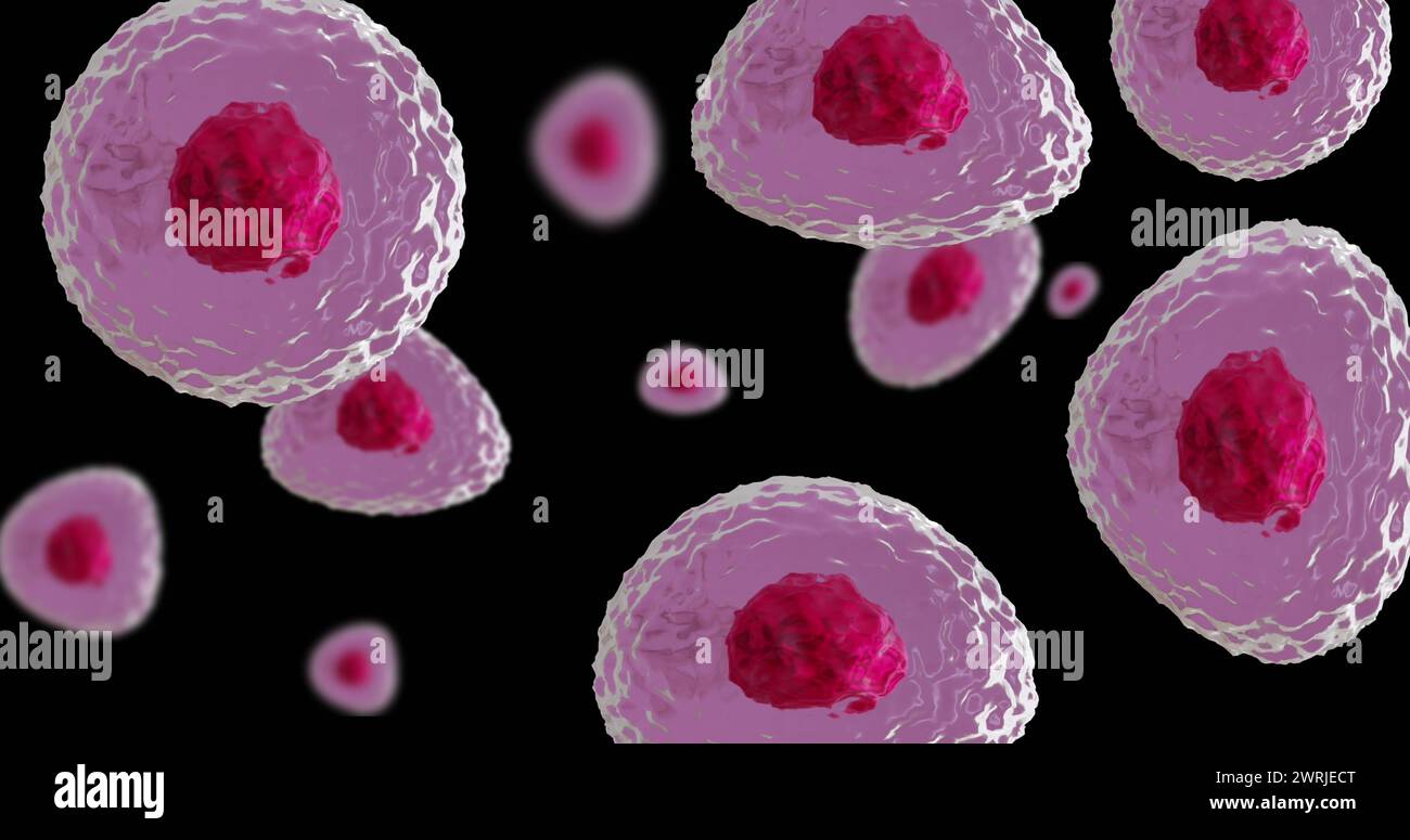 Biomechanics research hi-res stock photography and images - Alamy