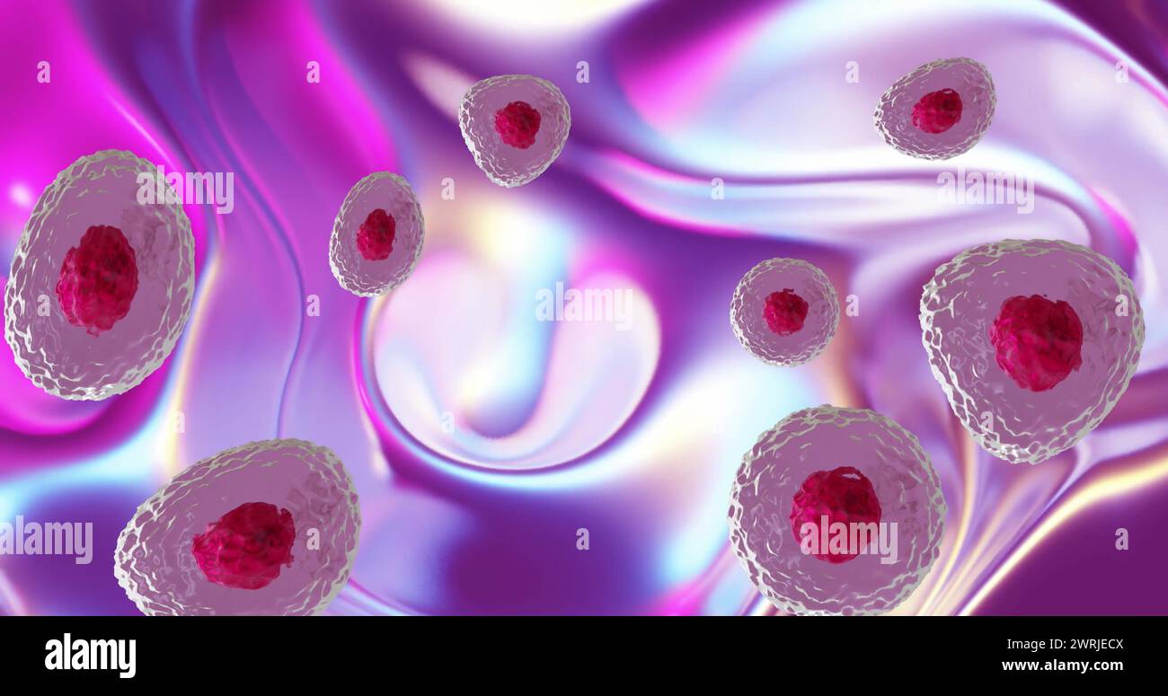 Image of micro of red and pink cells over pink and purple background ...