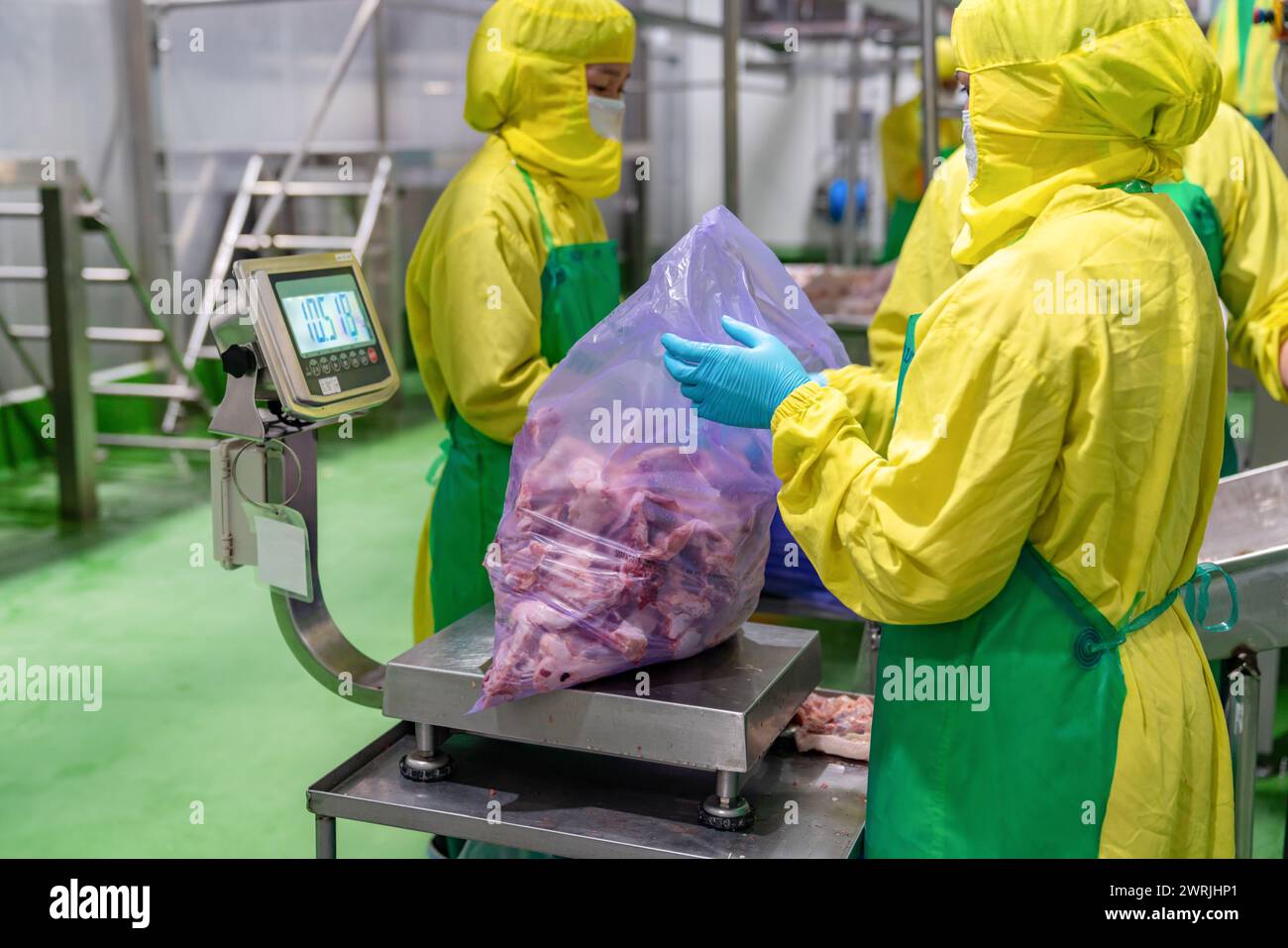 The workers weigh chicken parts at the processing plant Stock Photo - Alamy