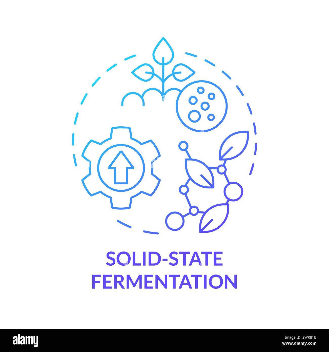 Solid state fermentation Stock Vector Images - Alamy