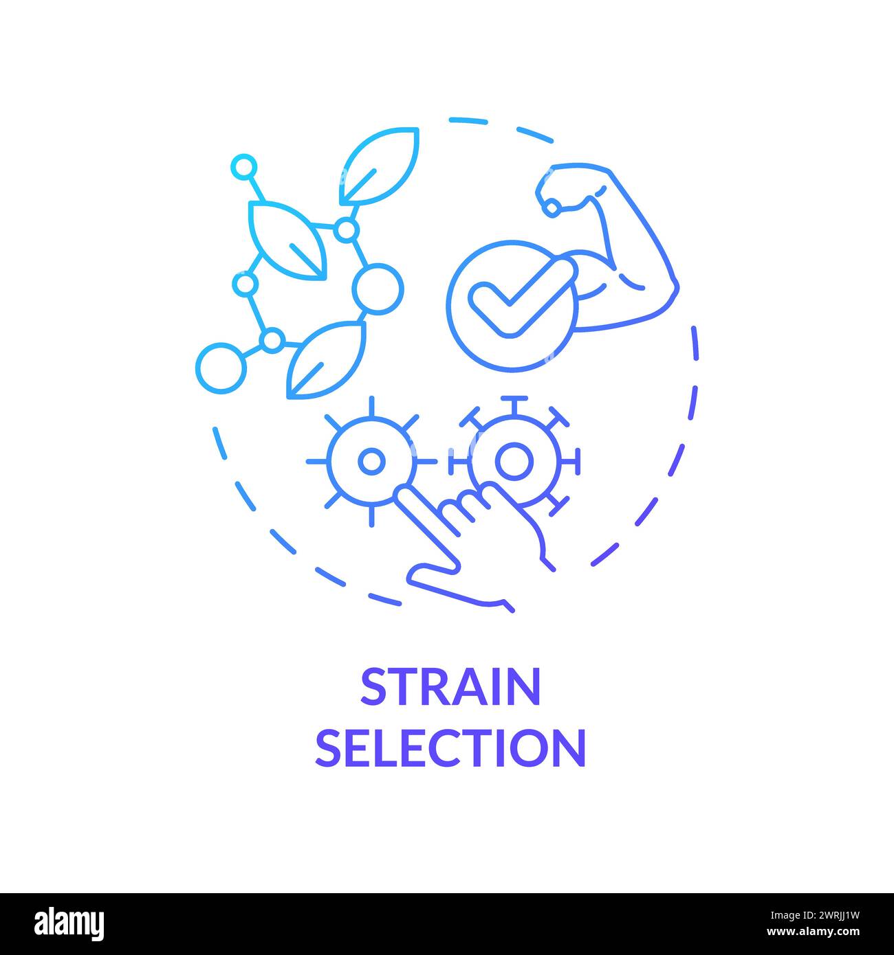 Strain selection blue gradient concept icon Stock Vector Image & Art ...
