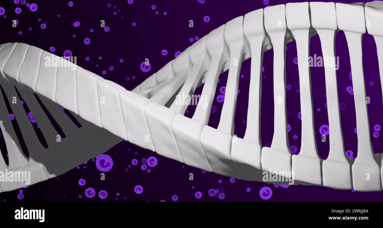 Image of dna over purple cells on violet background Stock Photo - Alamy